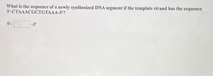 Solved What is the sequence of a newly synthesized DNA | Chegg.com