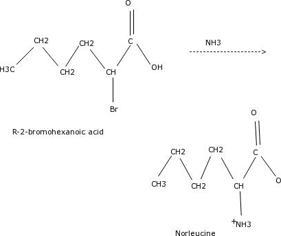 Solved Draw 3-dimensional representations | Chegg.com