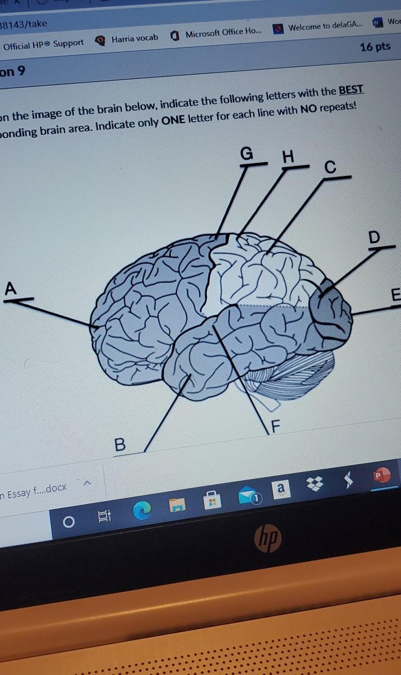 Solved Wor 38143/take Welcome to delaGA... Harria vocab O | Chegg.com