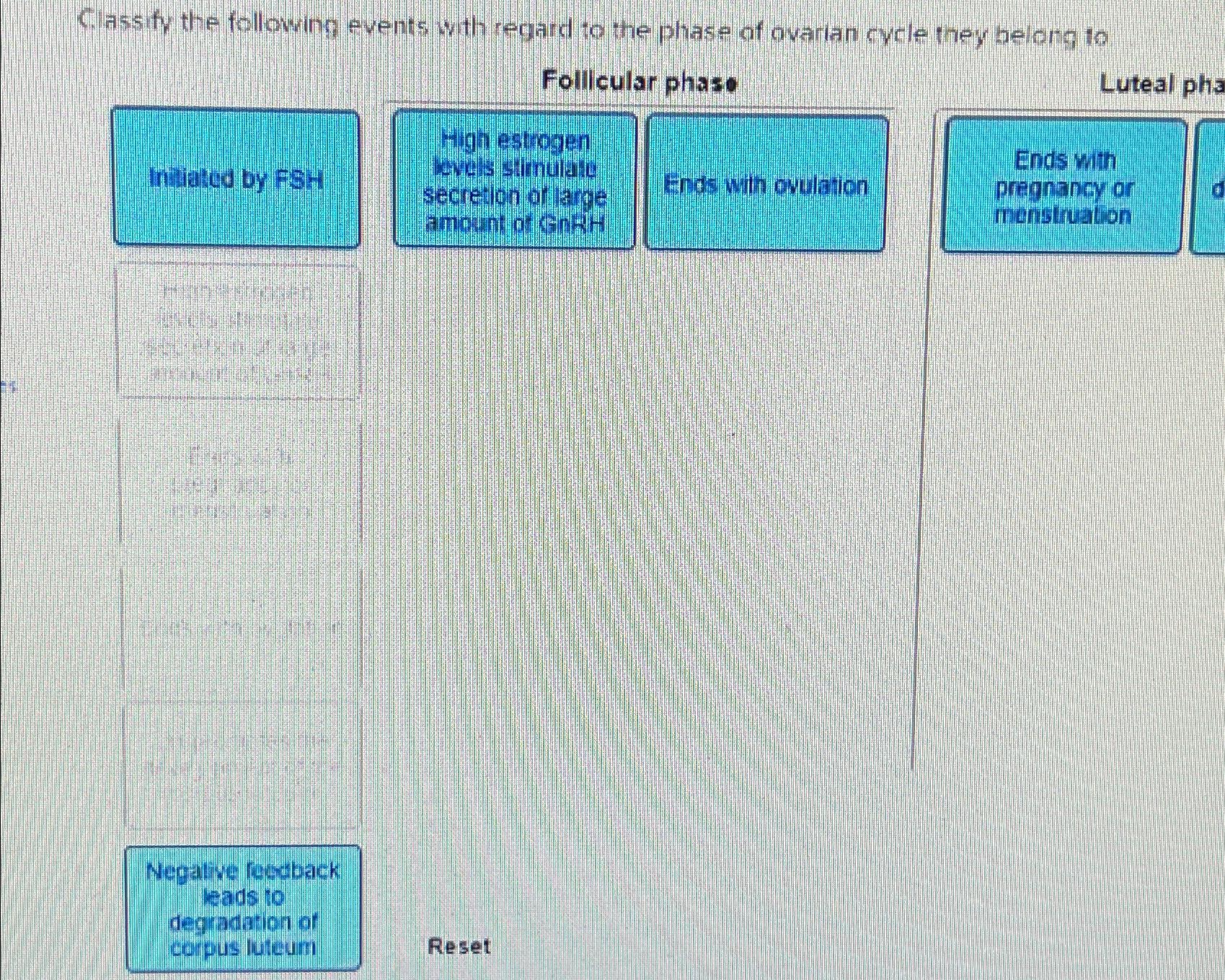 Solved Classify the following events wth regard to the phase | Chegg.com