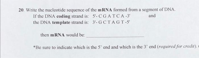 Solved 20. Write the nucleotide sequence of the mRNA formed | Chegg.com