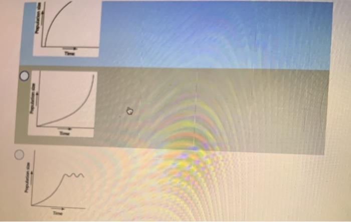 Solved Which of the following graphs illustrates the | Chegg.com