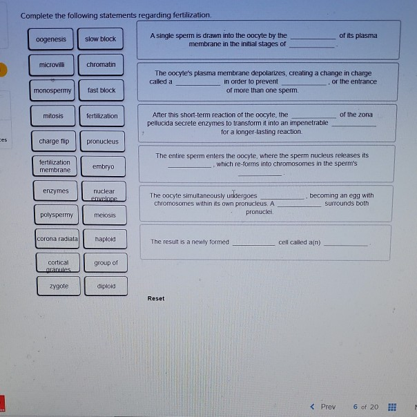 Solved Complete the following statements regarding | Chegg.com