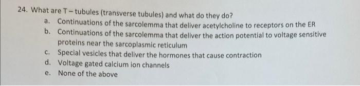 Solved 24. What are T-tubules (transverse tubules) and what | Chegg.com