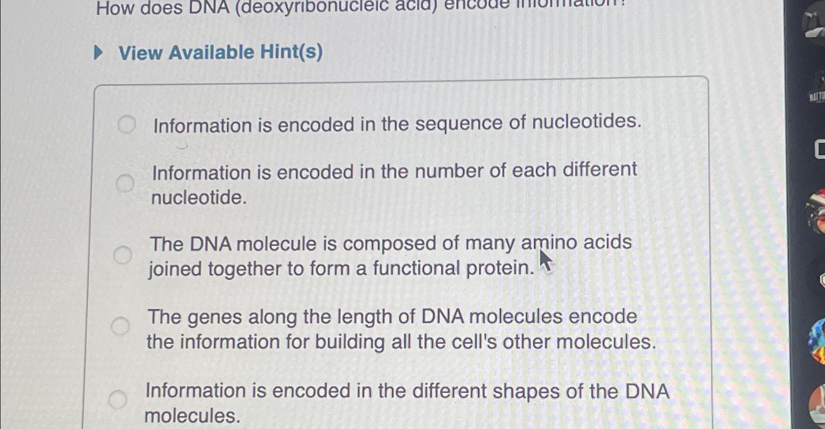 Solved View Available Hint(s)Information is encoded in the | Chegg.com