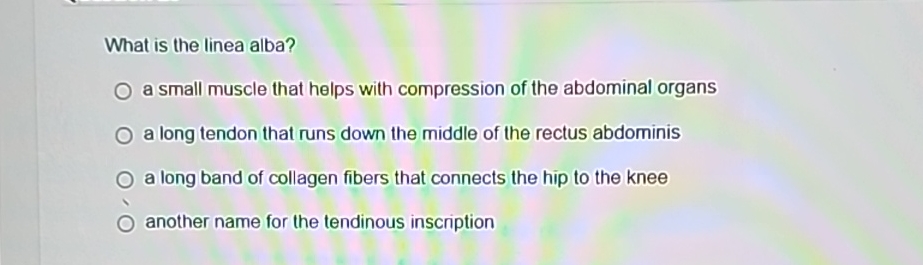 Solved What is the linea alba?a small muscle that helps with | Chegg.com