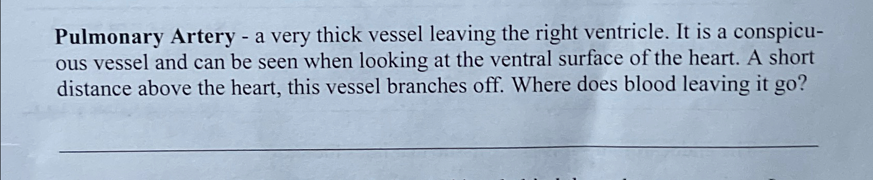 Solved Pulmonary Artery - ﻿a very thick vessel leaving the | Chegg.com