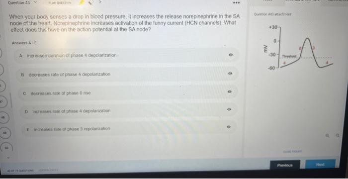 Solved When your body senses a drop in blood pressure, it | Chegg.com