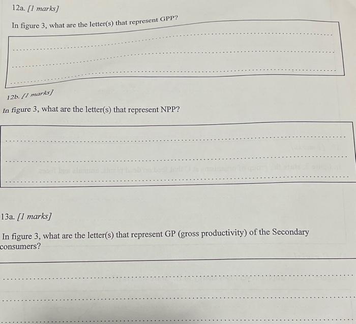 Solved 12a. [1 marks] 12b. [l marks] In figure 3 , what are | Chegg.com