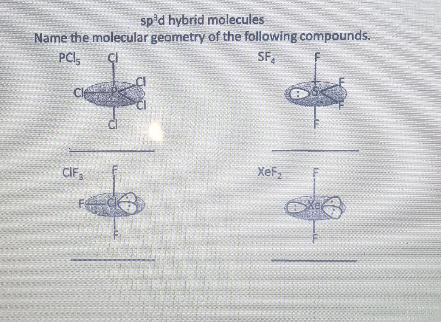 Solved Name the molecular geometry of the following | Chegg.com