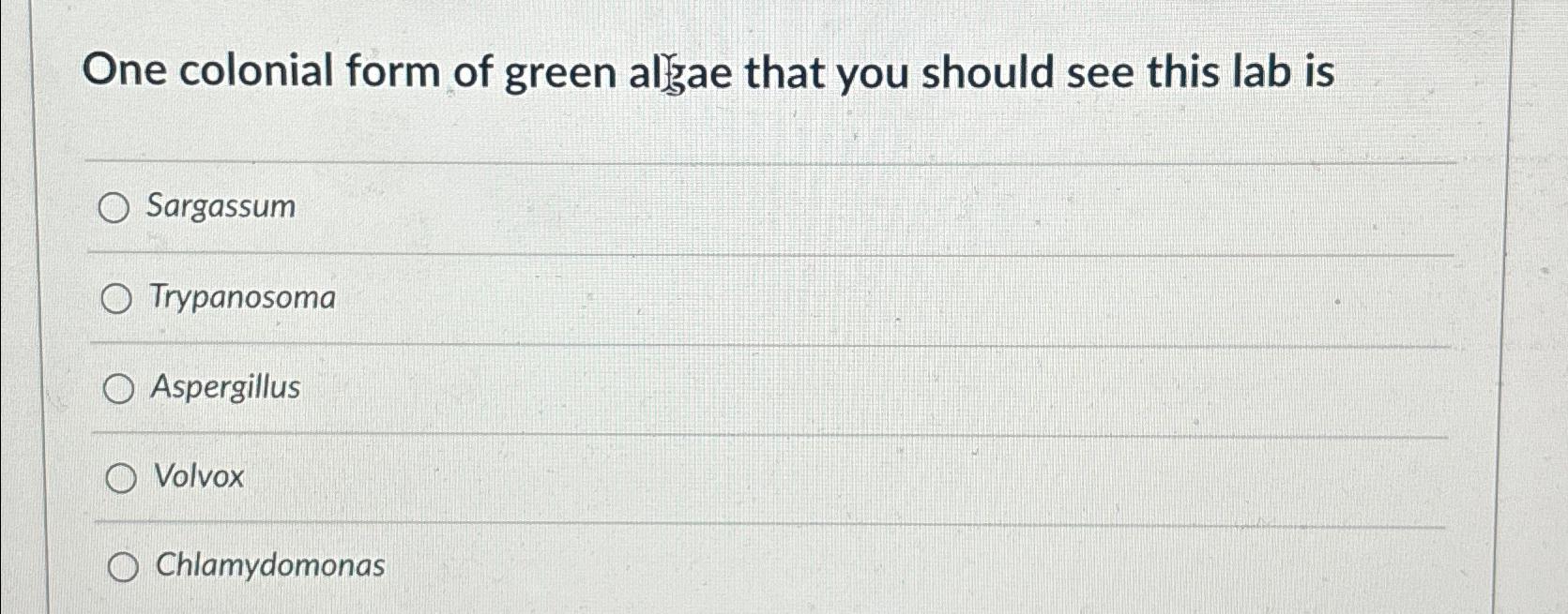 Solved One colonial form of green alfjae that you should see | Chegg.com