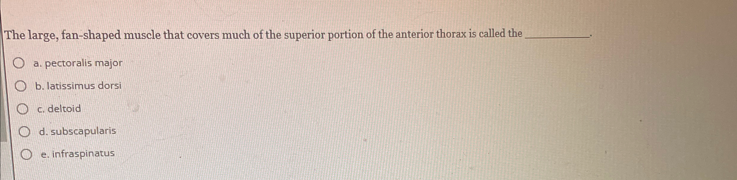 Solved The large, fan-shaped muscle that covers much of the | Chegg.com