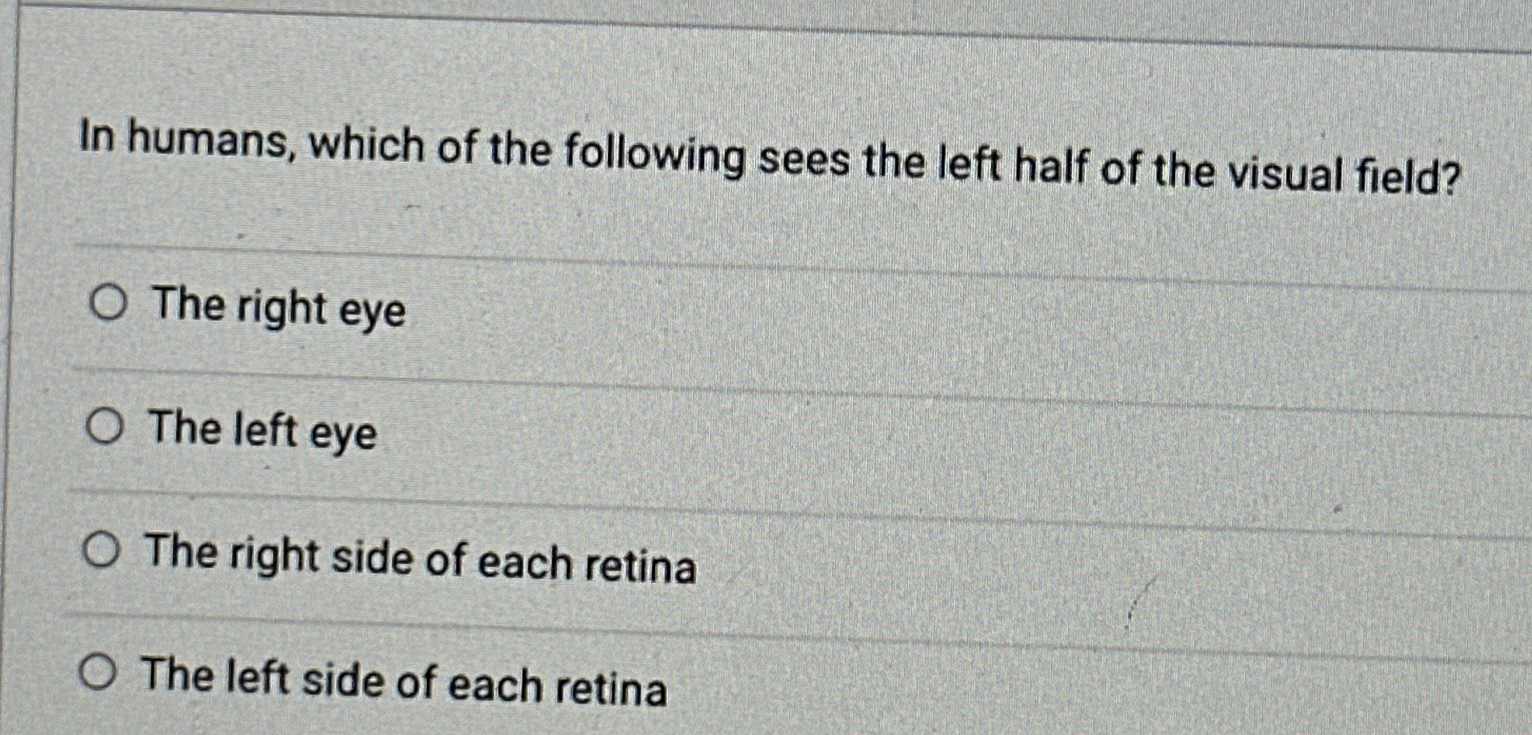 Solved In humans, which of the following sees the left half | Chegg.com