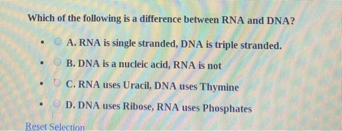 Solved If a DNA strand has a sequence GTA, what will be the | Chegg.com