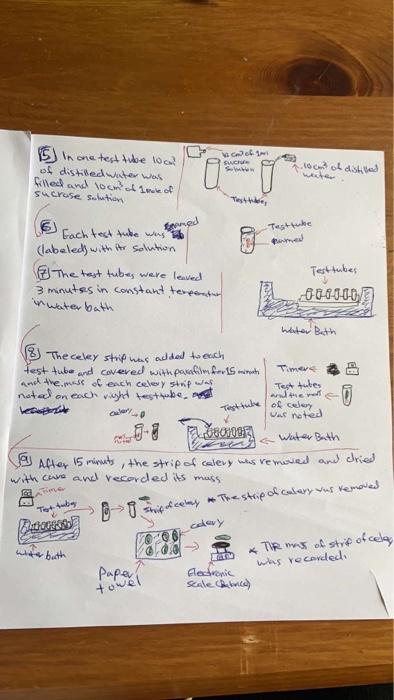 Solved can you rewrite the digram by hand please and if you | Chegg.com