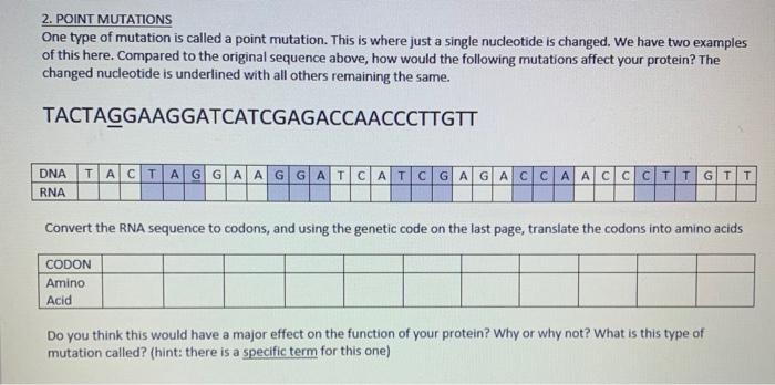 Solved 2. POINT MUTATIONS One type of mutation is called a | Chegg.com