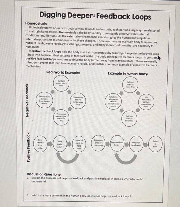 Solved Digging Deeper: Feedback Loops Homeostasis Biological | Chegg.com
