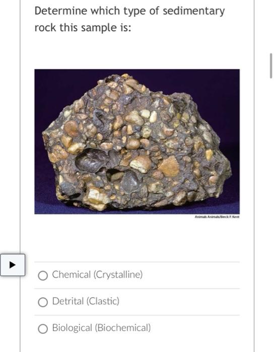 Question 10 What type of sorting does this | Chegg.com