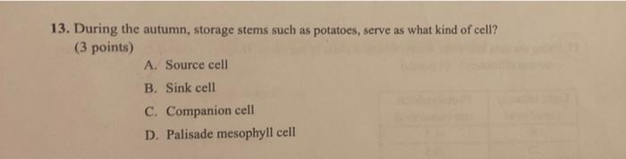Solved 13. During the autumn, storage stems such as | Chegg.com