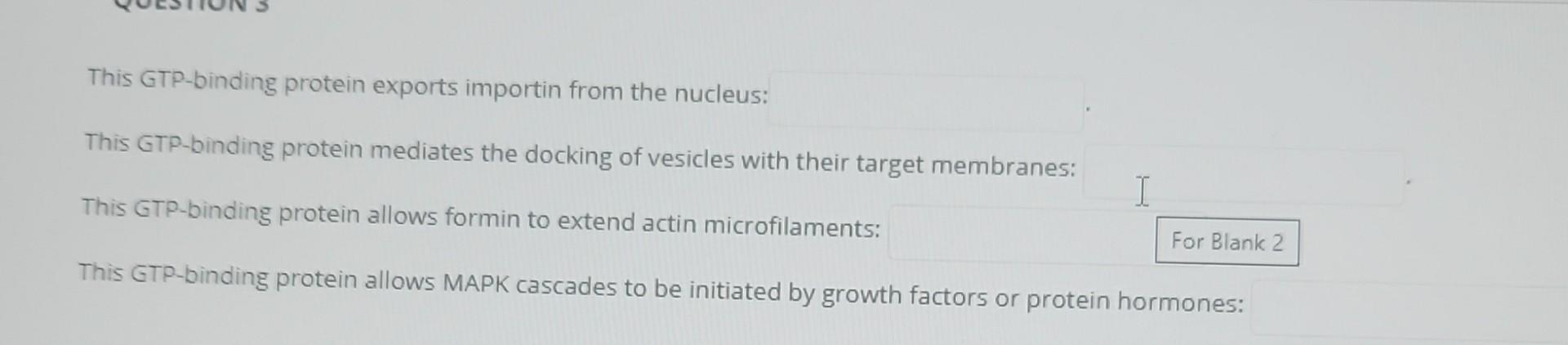 Solved This GTP-binding protein exports importin from the | Chegg.com