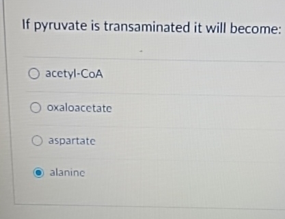Solved If pyruvate is transaminated it will | Chegg.com