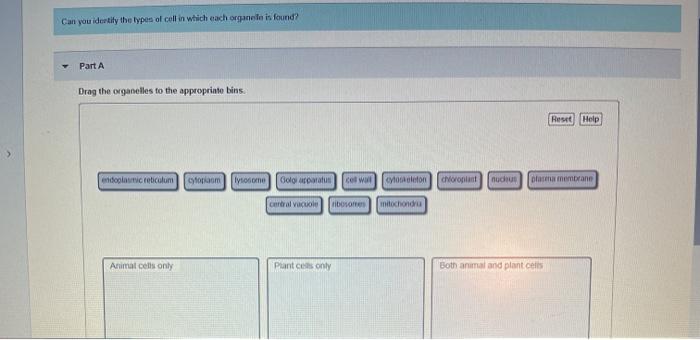 Solved Can you identity the types of coll in which each | Chegg.com