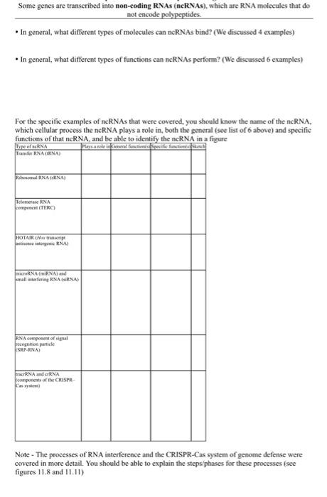 Solved Some genes are transcribed into non-coding RNAs | Chegg.com