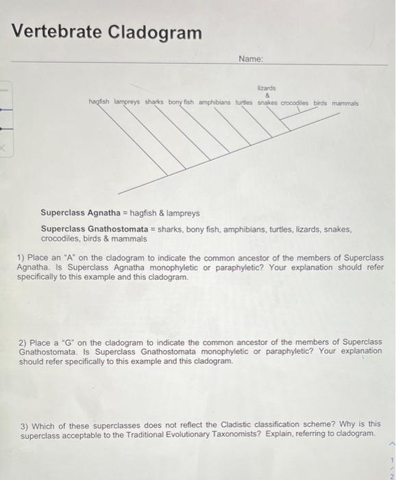 Solved Vertebrate Cladogram Name: Superclass Agnatha = | Chegg.com