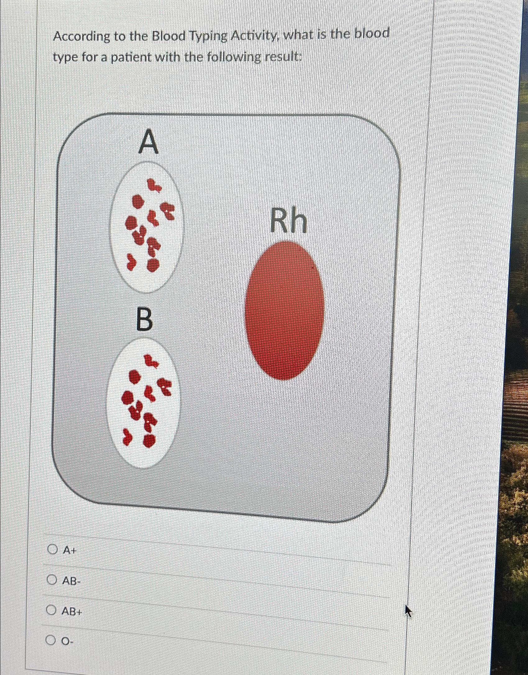 Solved According to the Blood Typing Activity, what is the | Chegg.com