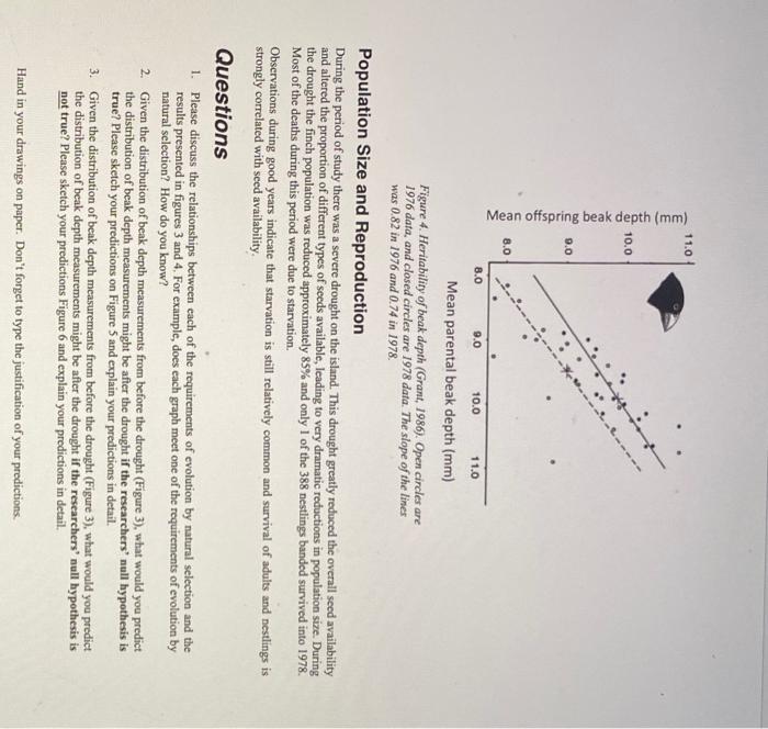 Solved Initial Beak Depth Measurements The authors caught | Chegg.com