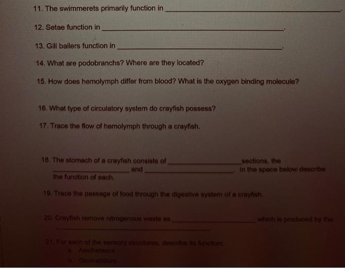 Solved 11. The swimmerets primarily function in 12. Setae | Chegg.com