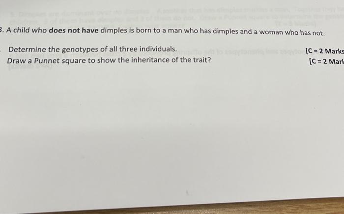 Solved A child who does not have dimples is born to a man | Chegg.com