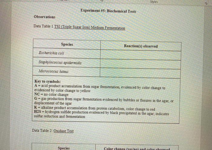 Solved Styles Experiment #5: Biochemical Tests Observations | Chegg.com