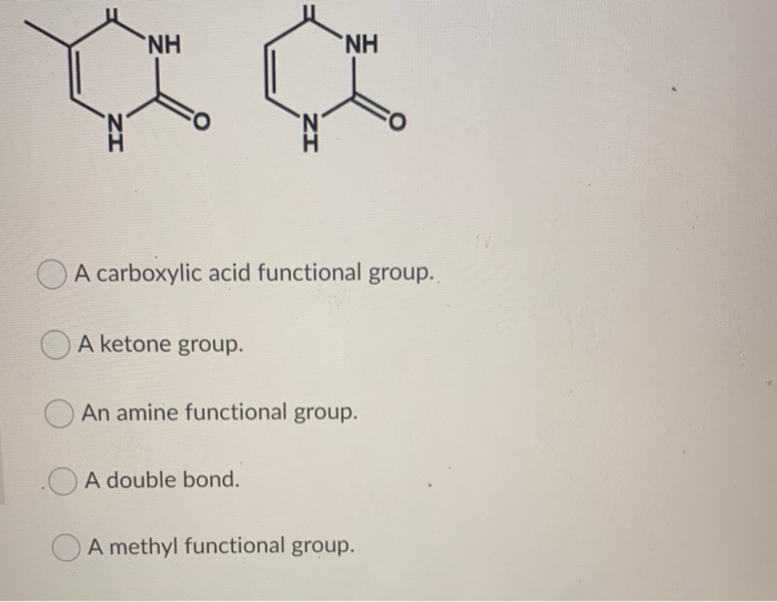 Solved Pictured below are the nucleobases Uracil and | Chegg.com