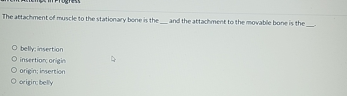 Solved The attachment of muscle to the stationary bone is | Chegg.com