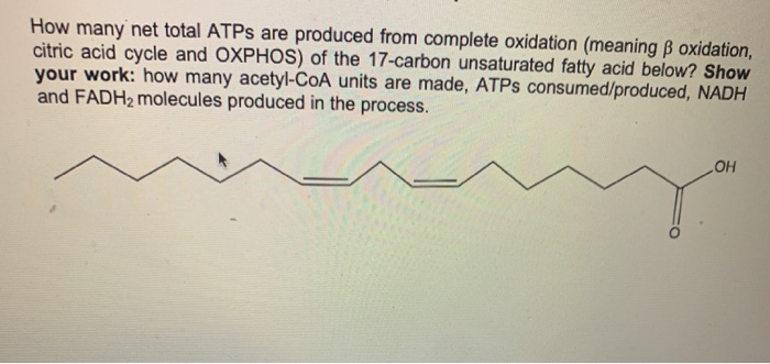 Solved How many net total ATPs are produced from complete | Chegg.com