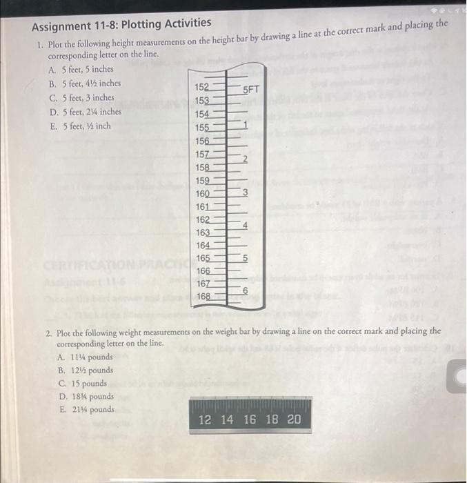 Solved Assignment 11-8: Plotting Activities 1. Plot the | Chegg.com