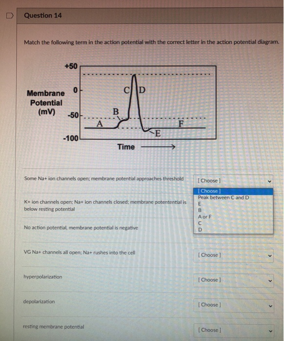Solved D Question 14 Match the following term in the action | Chegg.com