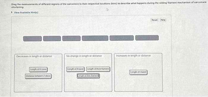 Solved Drag the measurements of different regions of the | Chegg.com