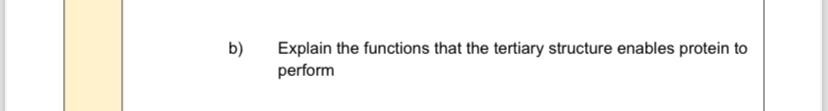 Solved b) ﻿Explain the functions that the tertiary structure | Chegg.com