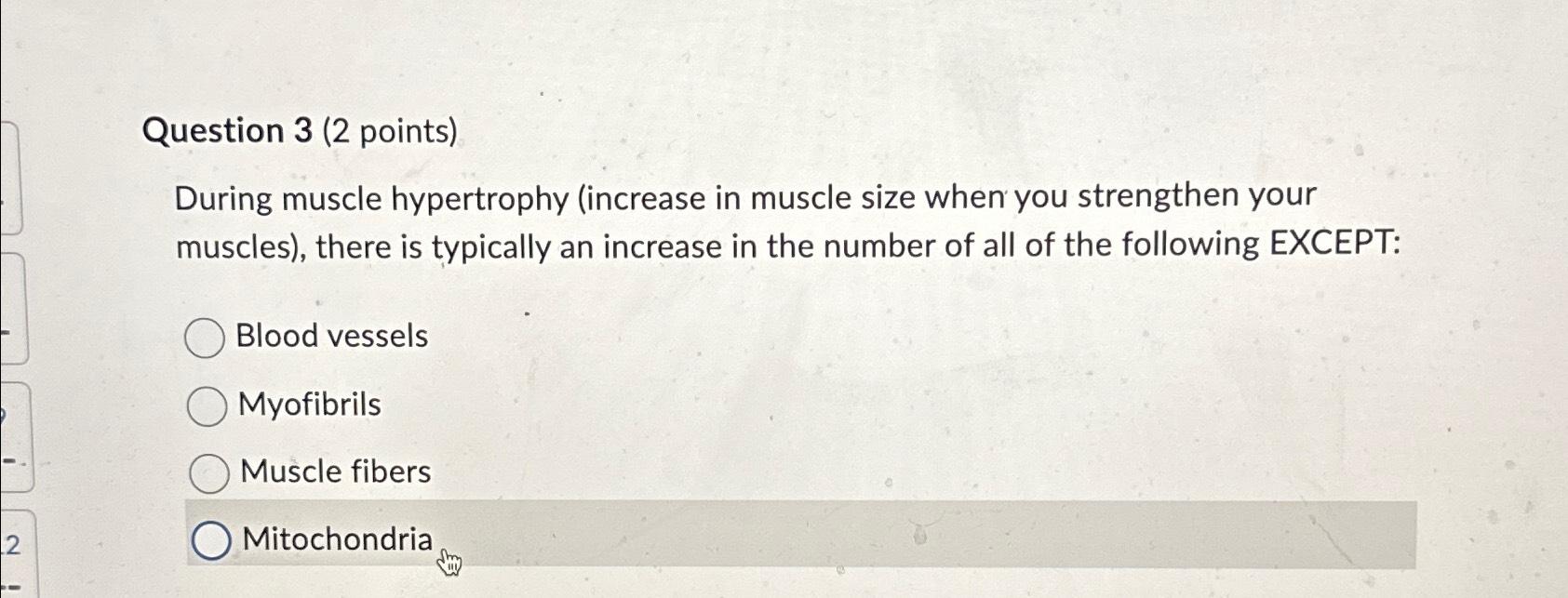 Solved Question 3 (2 ﻿points)During muscle hypertrophy | Chegg.com