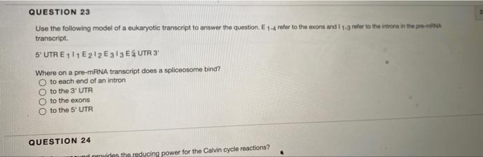 Solved QUESTION 23 Use the following model of a eukaryotic | Chegg.com