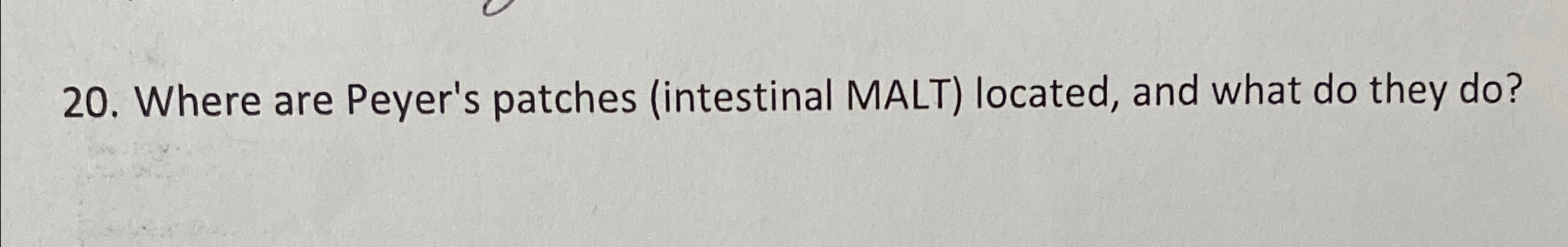 Solved Where are Peyer's patches (intestinal MALT) ﻿located, | Chegg.com