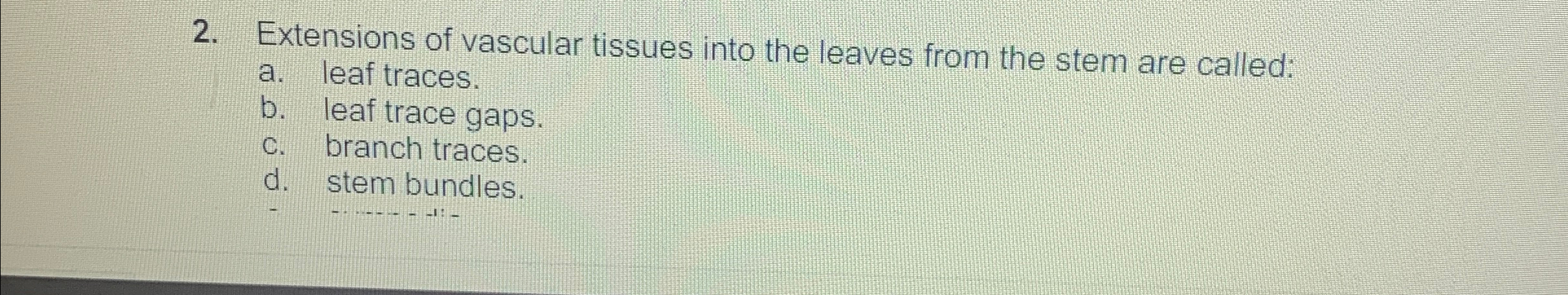 Solved Extensions of vascular tissues into the leaves from | Chegg.com