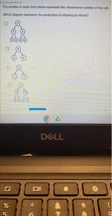 Solved Bacterial cells have the ability to divide every 20 | Chegg.com