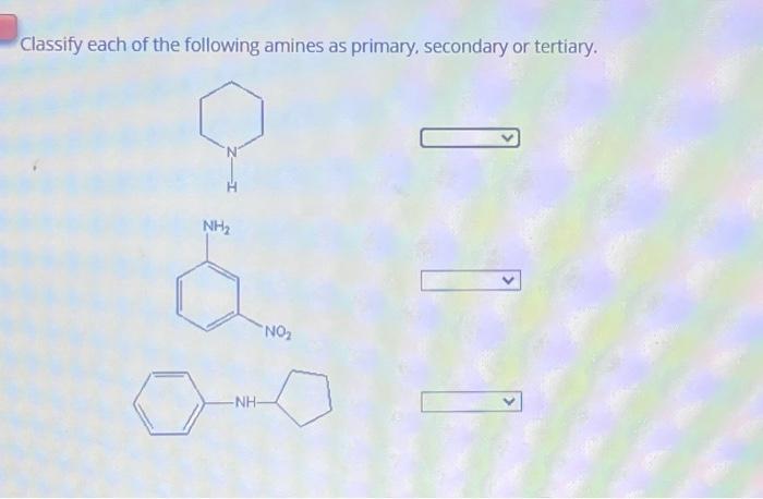 Solved Classify each of the following amines as primary, | Chegg.com