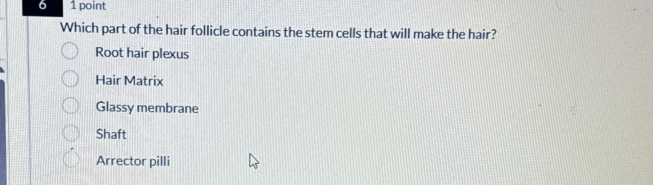 Solved 6 1 ﻿pointWhich part of the hair follicle contains | Chegg.com
