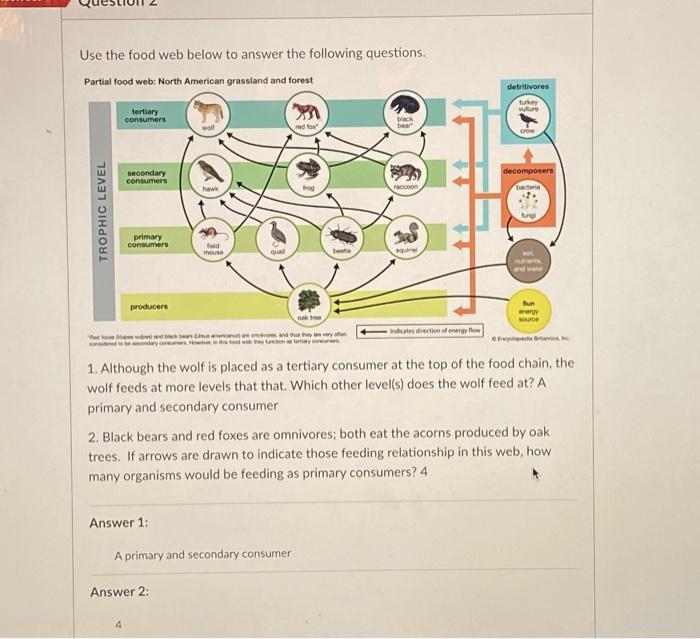 Solved Use the food web below to answer the following | Chegg.com