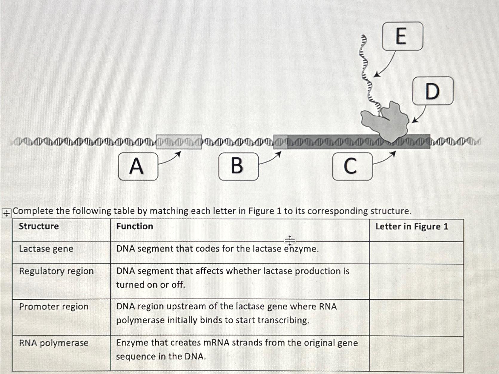 Solved $Complete the following table by matching each letter | Chegg.com