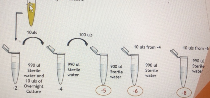 Solved calculate the total cfu of the fallowing dilutions | Chegg.com